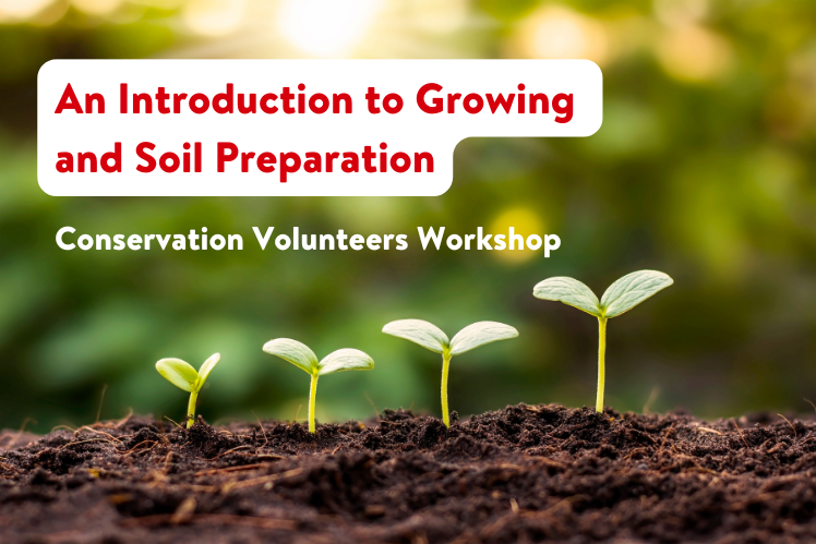 11.3.25An Introduction to Growing and Soil Preparation | About | Queen ...