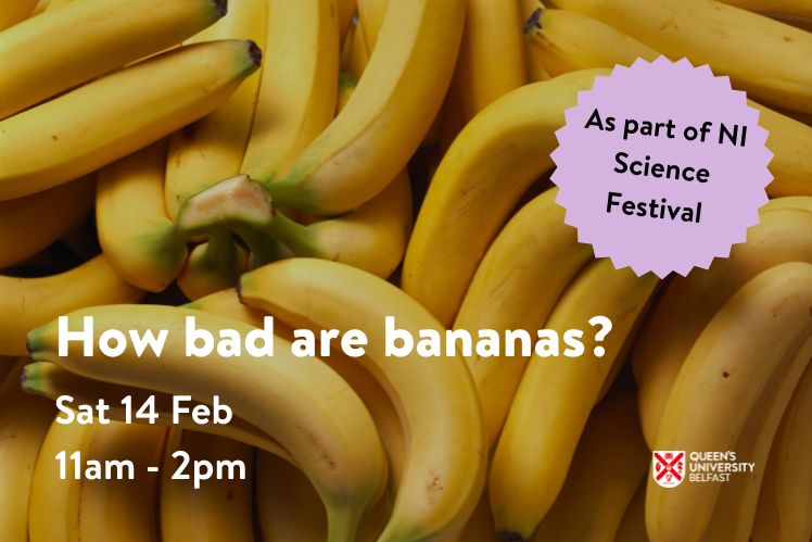 How bad are bananas? | About | Queen's University Belfast