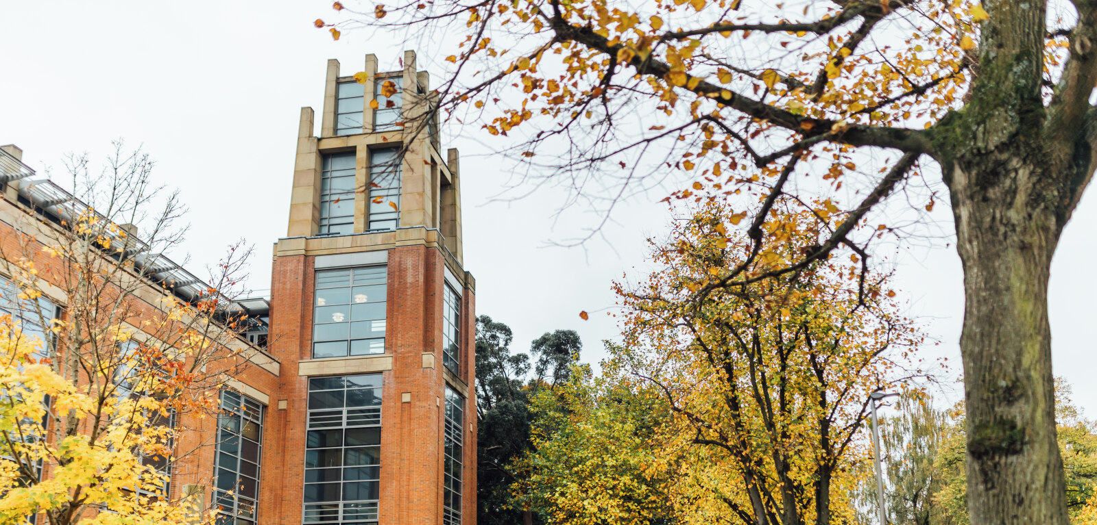 A Day in the Life of a Cancer Medicine Student at Queen’s | Student ...
