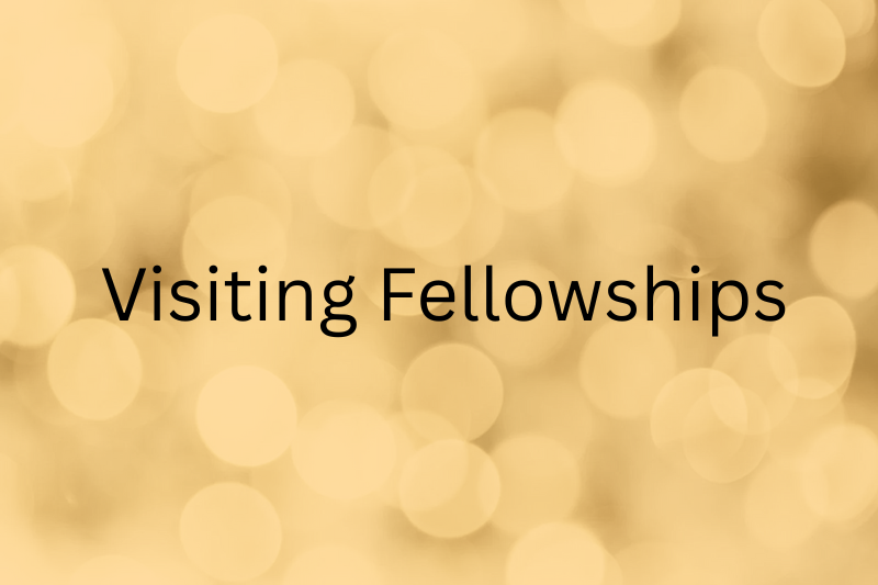Fellows, Postdoctoral Researchers and Visiting Fellows | School of ...